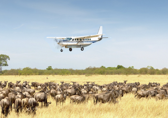 Not A Pilot - African (Hanks) Aero Adventures